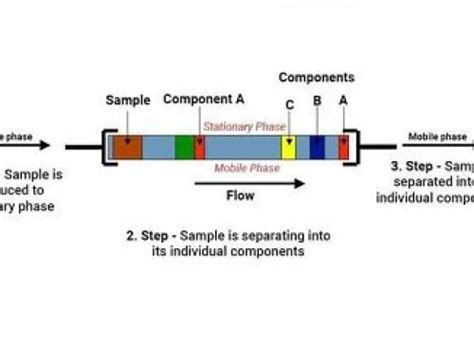 How To Increase Theoretical Plates In Hplc Column Hawach