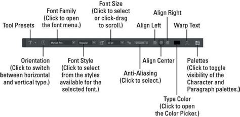 Text Options For Photoshop CC Dummies