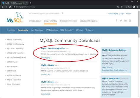 【インストール不要】zip形式のmysqlを使用する ダウンロード編【in Windows】 Tech Projin