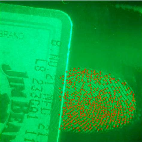 A Partial Latent Fingerprint Sample B Result Of Pore Extraction On Download Scientific