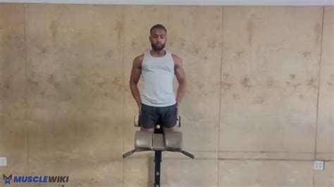 Medial Hamstring Egzersizleri Eksiksiz Antrenman Rehberi Musclewiki