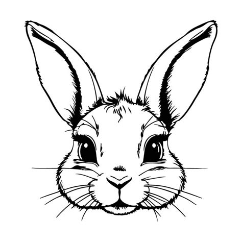 Free Rabbit Face Svg Black And White Svg Vector File For Laser