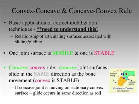 PPT Joint Mobilization Traction Techniques In Rehabilitation PowerPoint Presentation ID