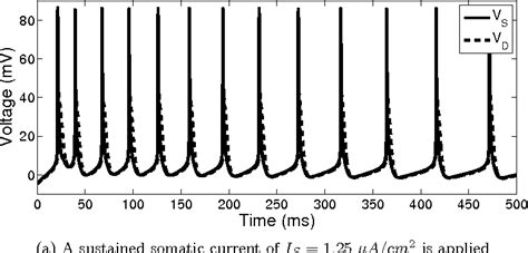 Figure 12 From A Two Compartment Model Of A Ca 1 Pyramidal Neuron Semantic Scholar