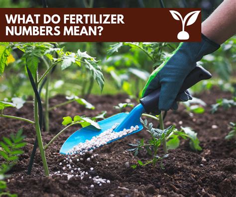 What do Fertilizer Numbers Mean? - 1 Stop Landscape Supply