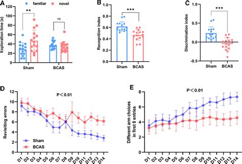 Decline In Cognitive Function At 8 Weeks After Bcas Exploration Time