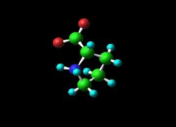 Bioquímica Agroindustrial Prolina