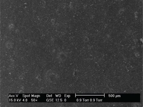 sem micrographs of the surface left column 50x and internal