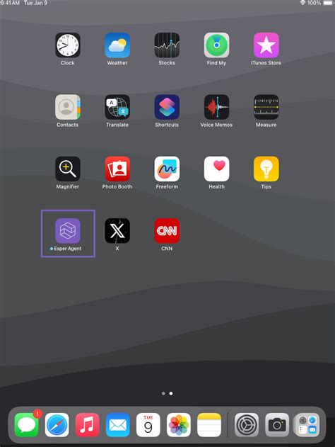 Using Remote Viewer For IOS Esper Help