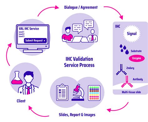 Antibody Validation Epitogenx