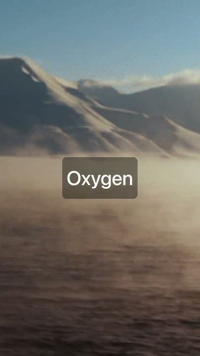 How Cyanobacteria Evolved Theory Of Evolution Biology History Bacteria Knowledge Ias