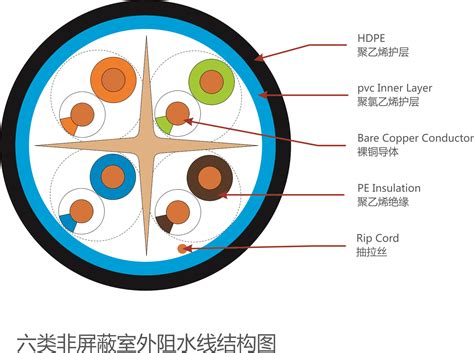 Network Cable UTP Cat Cat Lan Cable