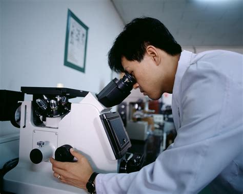 코라와 알아보는 탄소연대측정법 네이버 포스트