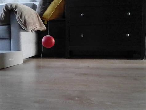 Ball Detection Object Detection Dataset And Pre Trained Model By Balldetect