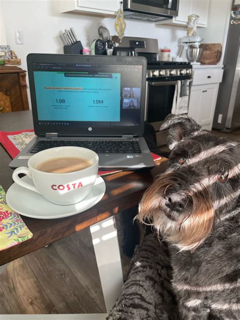 becca gregg sansom on linkedin pippy is here to remind you of the importance of carving out