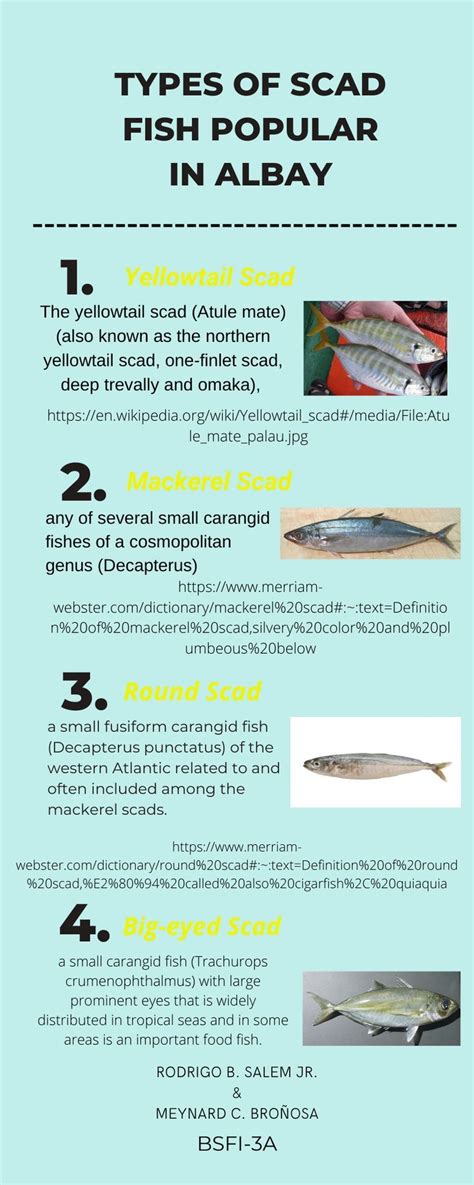Types Of Scad Fish Popular In Albay