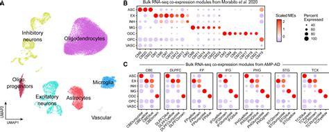 Hdwgcna Identifies Co Expression Networks In High Dimensional Transcriptomics Data Cell Reports