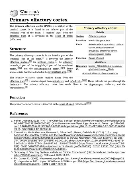 Primary Olfactory Cortex Pdf Cerebral Cortex Olfactory System Primary Olfactory Cortex Pdf Cerebral Cortex Olfactory System
