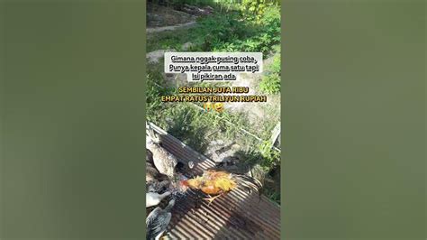 Pusing Gak Tuh Youtube