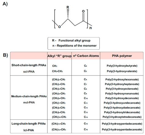 Rna Mediated Control In Polyhydroxyalkanoates Synthesis Encyclopedia Mdpi