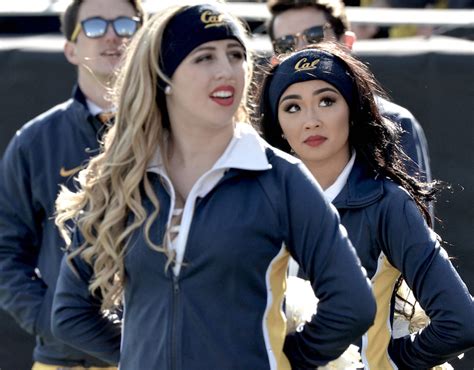 Pingwi Fi — Wi Fi Full Bodied Yet Unpretentious