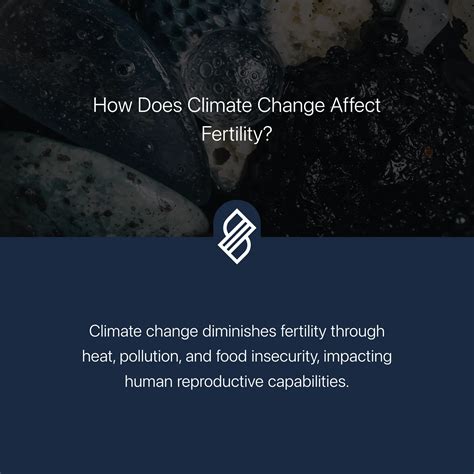 How Do Subsidies Affect Market Equilibrium → Question