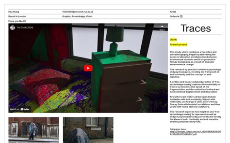 Iriszhang Artist Collage Assembalge Experimental Video