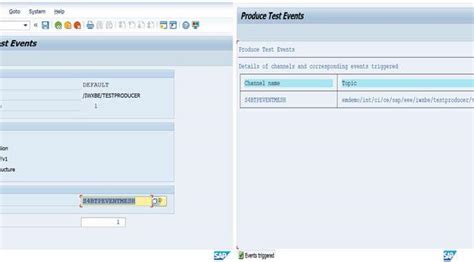 Sap Event Mesh S4 Hana On Prem And Sap Ci Btp Is Through Websocket And Webhooks Erp Qanda