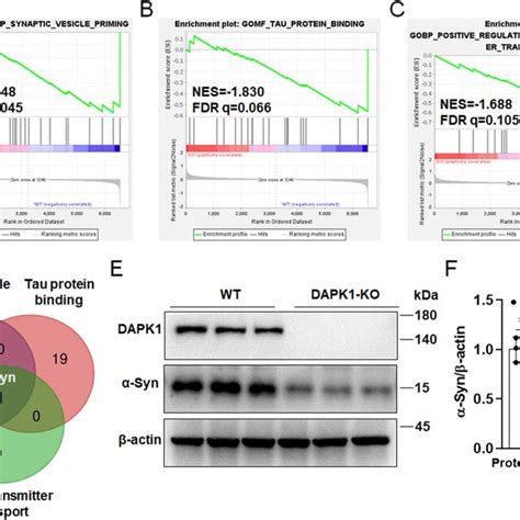 Gsea Of The Proteomics Data To Show The Representative Gene Sets Download Scientific Diagram
