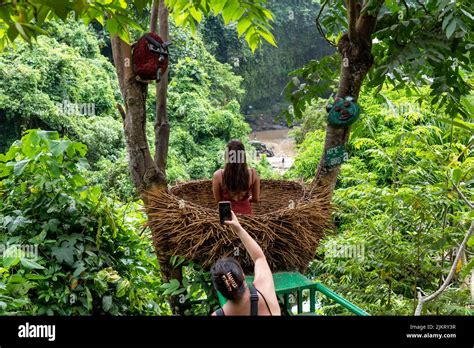 Bali Indonesia March Rear View Of Woman Taking Photo Of A Woman In A Big Bird Nest