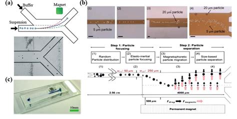 Figure 12 From Particle Manipulations In Non Newtonian Microfluidics A Review Semantic Scholar