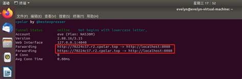ubuntu用户安装cpolar内网穿透 cpolar 极点云官网
