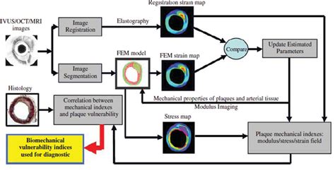 Figure 1 From Optical Coherence Elastography Current Status And Future Applications Semantic