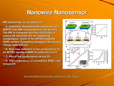 Ppt Nanosensors Powerpoint Presentation Free Download Id 6641108