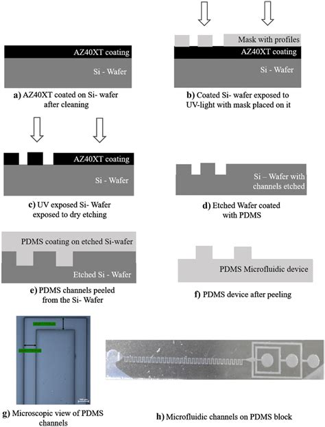 Schematic For Development Of Pdms Microfluidic Devices Fabricated Using Download Scientific