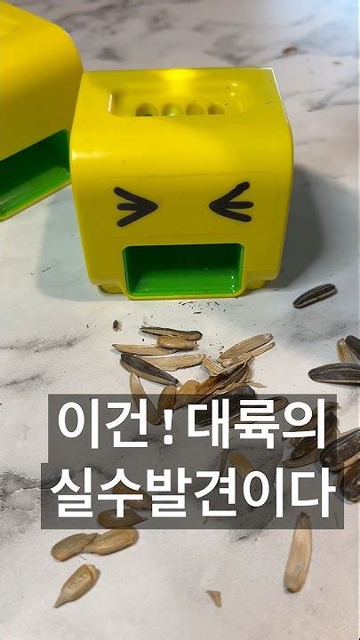 오랜만에 발견한 대륙의실수 해바라기씨 중국간식 대륙의실수 꿀잼 해바라기씨 탈곡기 Youtube