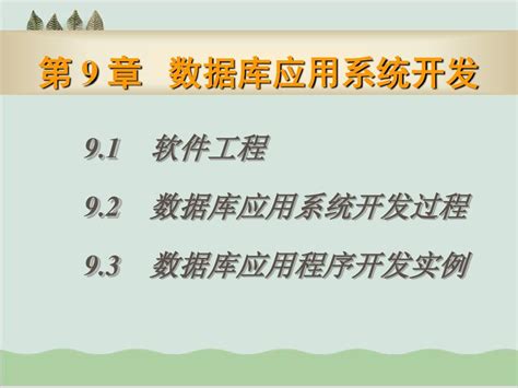 数据库应用系统开发过程与实例ppt课件 86页 word文档在线阅读与下载 无忧文档