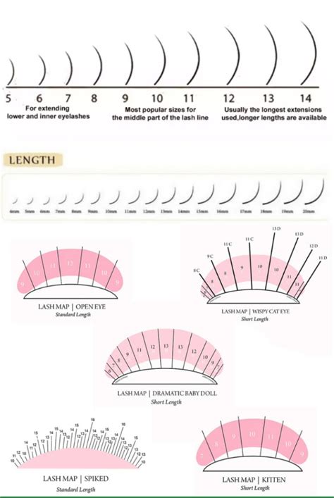 Important Factors For Lash Business Consider When Choosing Classic Lash
