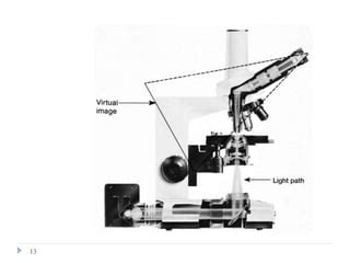 Microscope PPt For BSC Students For Practical Exam Pptx Photography Arts And Crafts