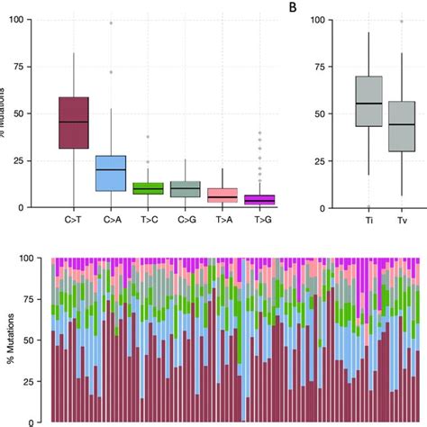 Statistics Of Mutation Types A Proportion Of 6 Different Mutation