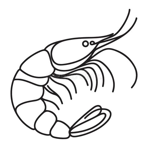 Detailed Shrimp Silhouette Stock Illustrations 249 Detailed Shrimp