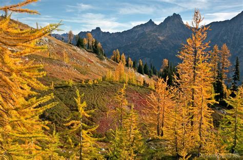 Image Of Maple Pass Loop 15859