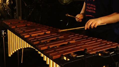 What Is A Xylophone Player Called At Anthony Drexler Blog