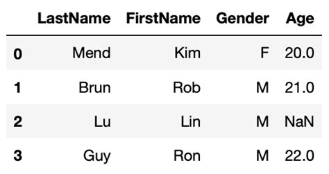 Python For Business Data Preparation Techniques