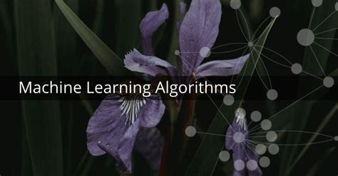 Aaron Mathew On Linkedin Machine Learning Algorithms Graph Database