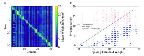 A Synaptic Weight Matrix After Learning Averaged Over The 10 Download Scientific Diagram