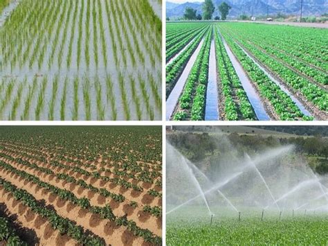 What Are Different Types Of Irrigation Systems At Carmella Vanzant Blog