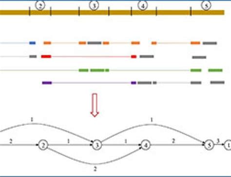 Stringtie Improved Reconstruction Of A Transcriptome From Rna Seq