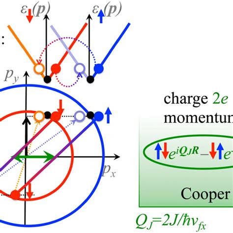 Andreev Reflection In A Ferromagnet An Electron With Energy ε And Download Scientific