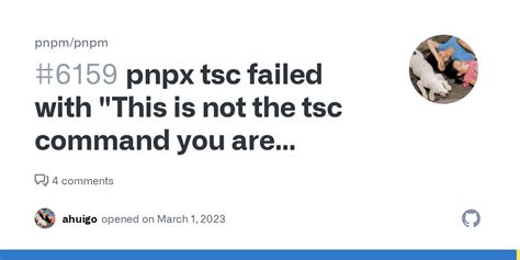 Pnpx Tsc Failed With This Is Not The Tsc Command You Are Looking For